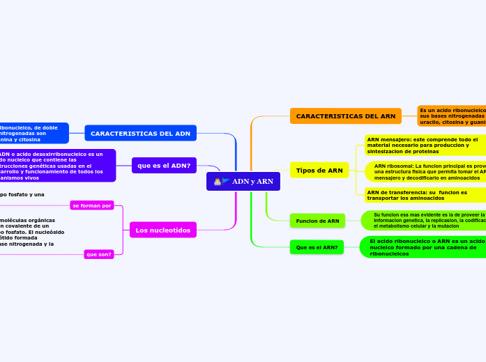 ADN y ARN - Mind Map